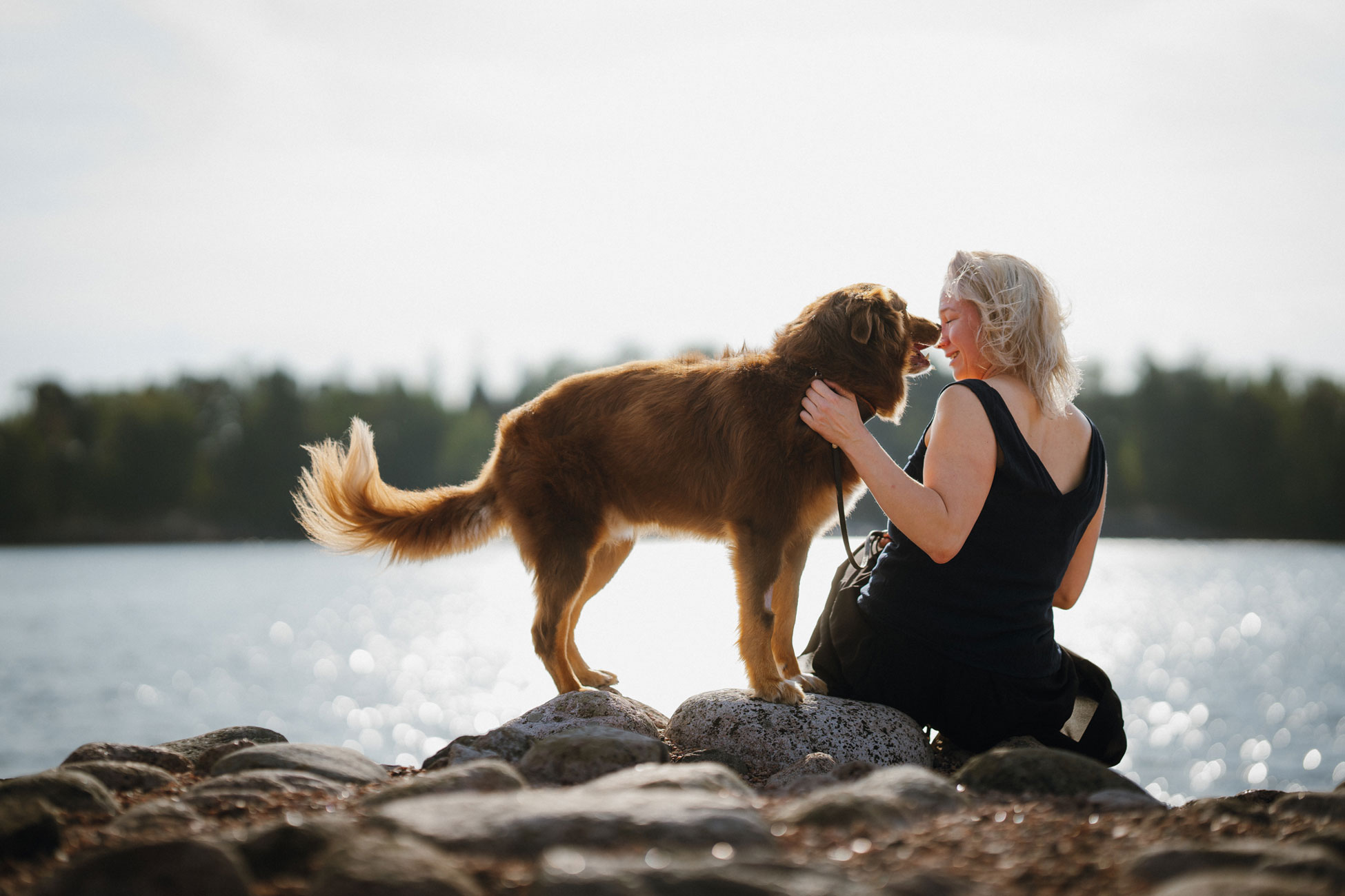 Milka Tauru – Eläinten fysioterapeutti | Fysiotaurus